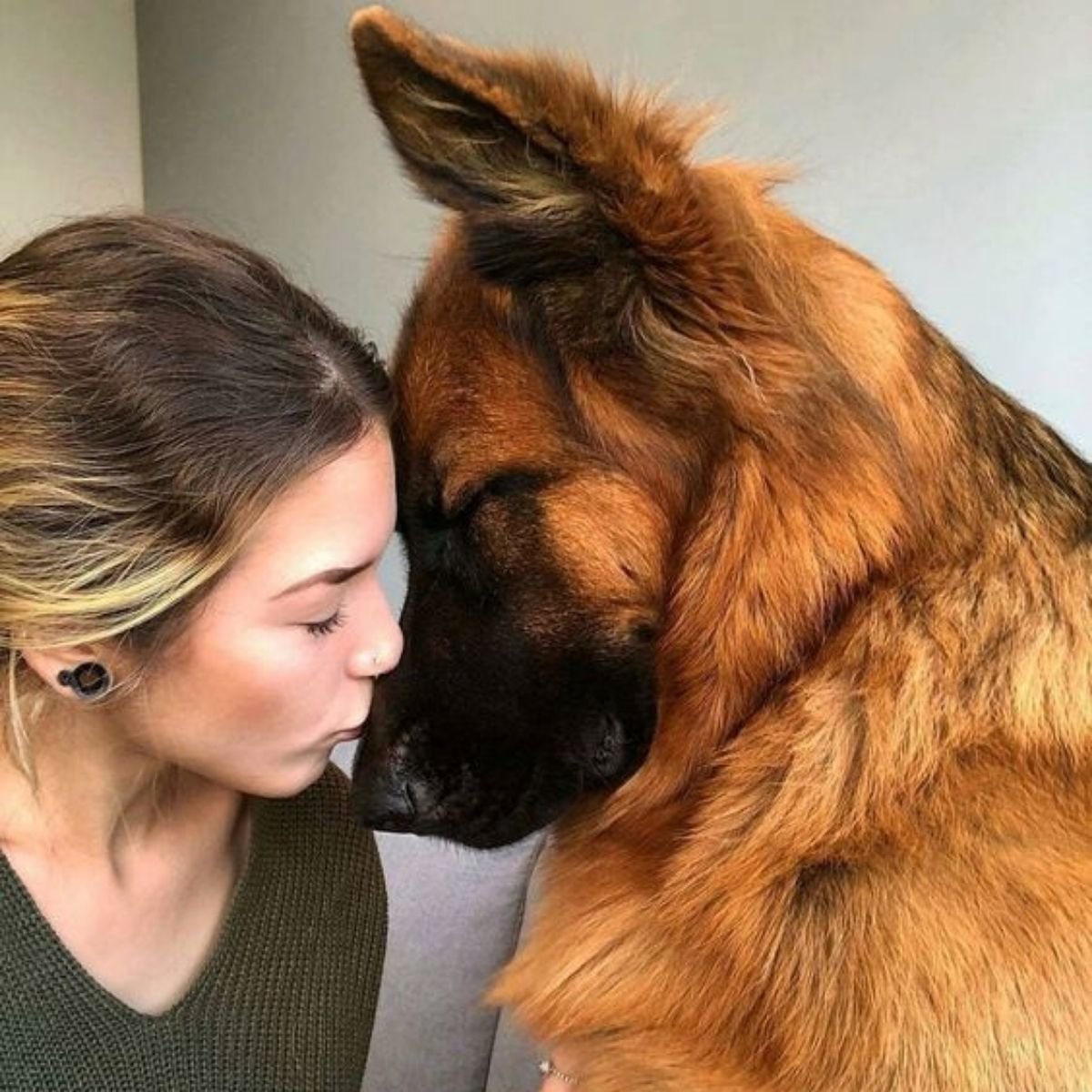 10+ Secrets Why Dogs Make Us Happy - The Paws