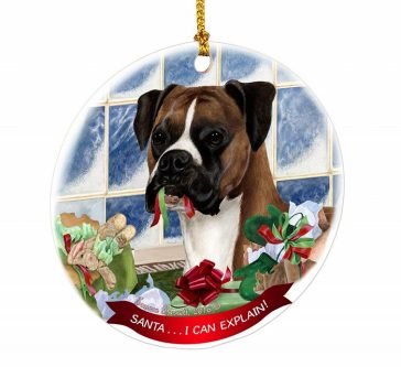 16 Best Gifts for Boxer Dog Owners and Lovers – The Paws