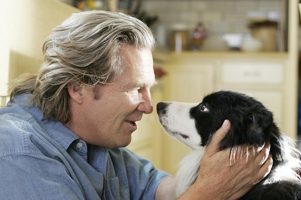 16 Celebrities With Border Collies - The Paws