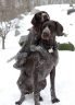 100+ Best German Shorthaired Pointer Dog Names - The Paws