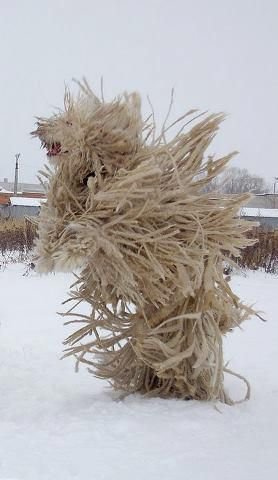 90+ Best Komondor Dog Names - The Paws