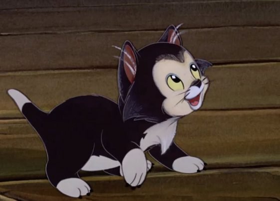 70 Disney Cat Names