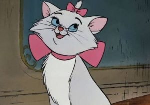 70 Disney Cat Names