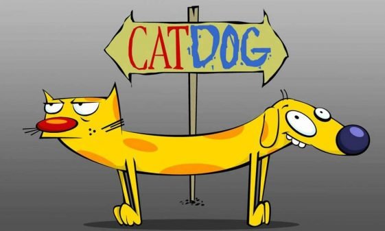 75 Famous Cartoon Cat Names - The Paws