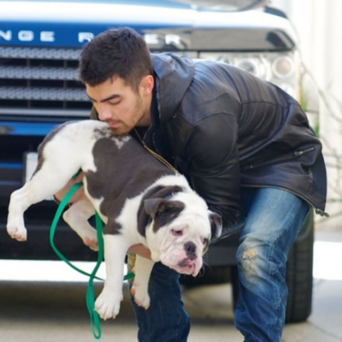 16 Celebrities Who Are Major English Bulldog Lovers - The Paws