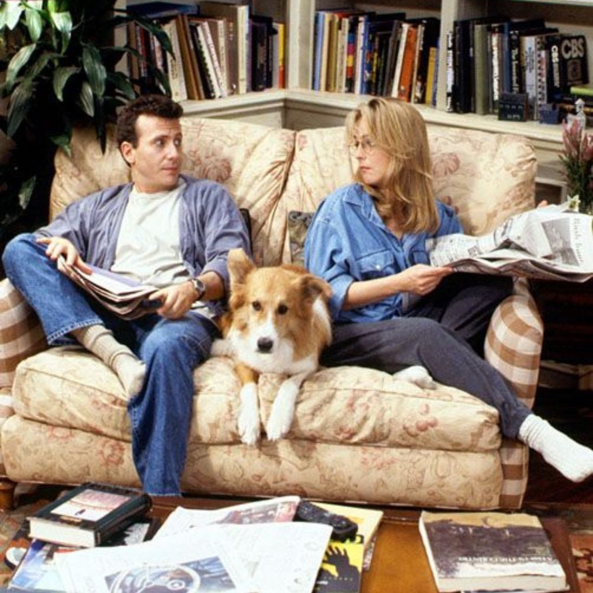 9 Most Famous Border Collies From Movies and TV - The Paws