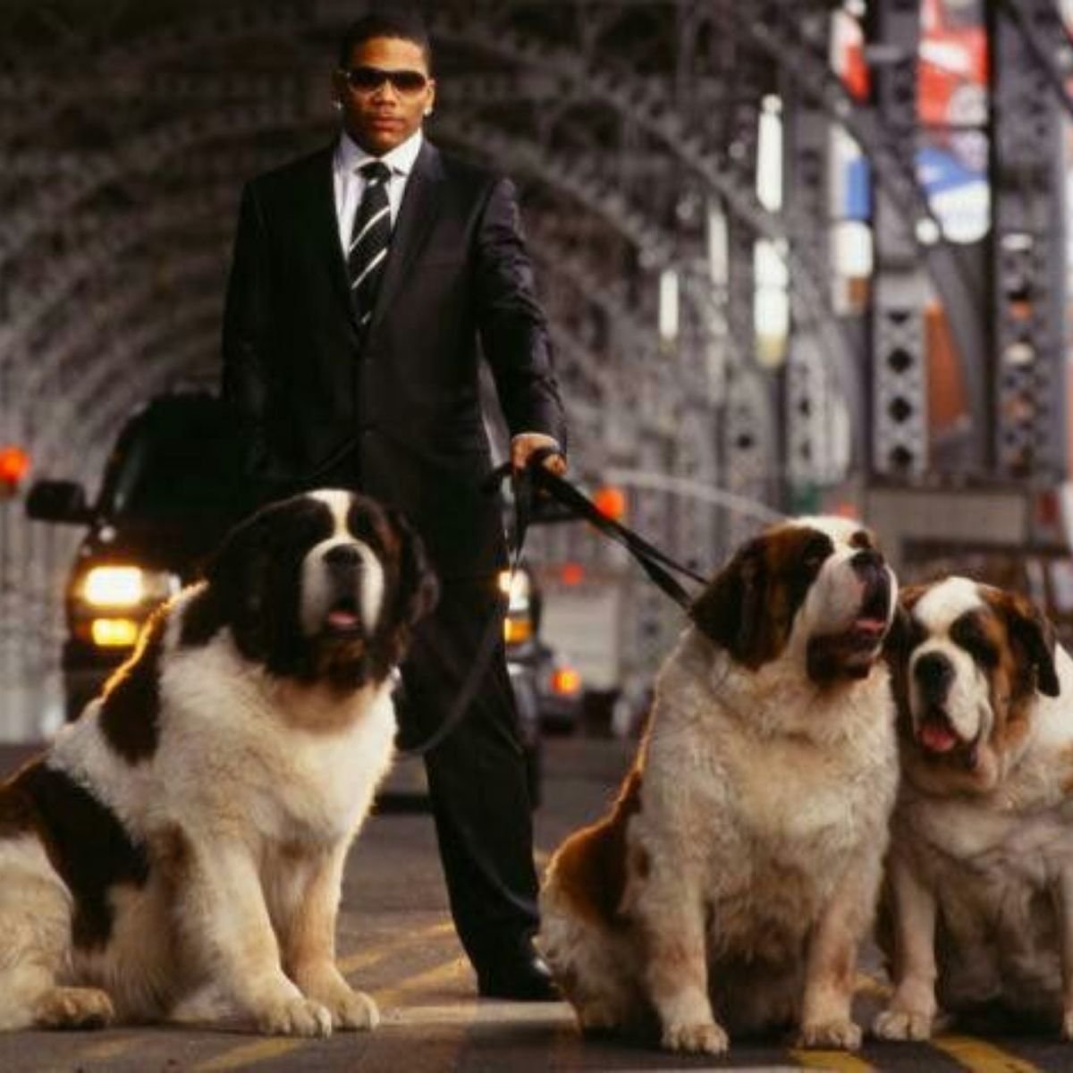 12 Celebrities with St. Bernard Dogs - The Paws