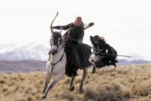 20 Lord of the Rings Horse Names - The Paws
