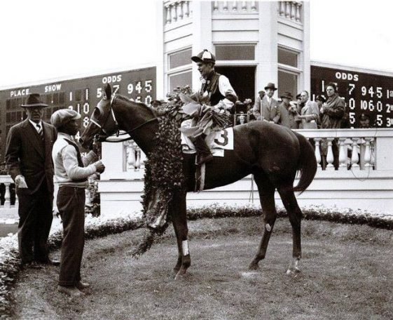 120+ Famous Race Horse Names - The Paws