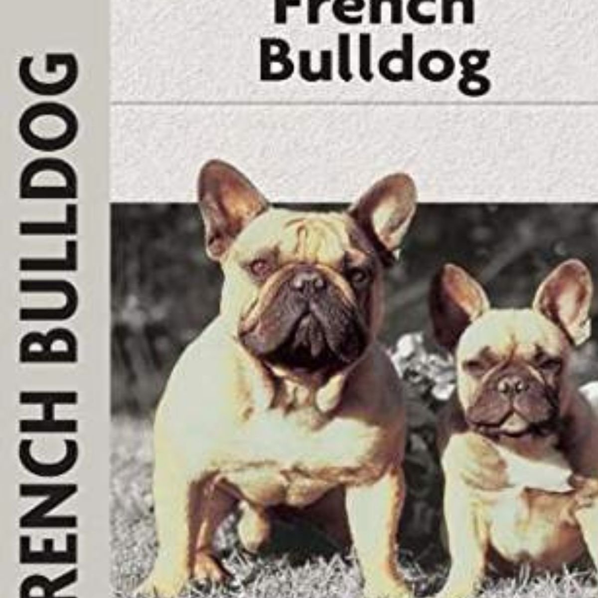 14 Books For French Bulldog Lovers - The Paws