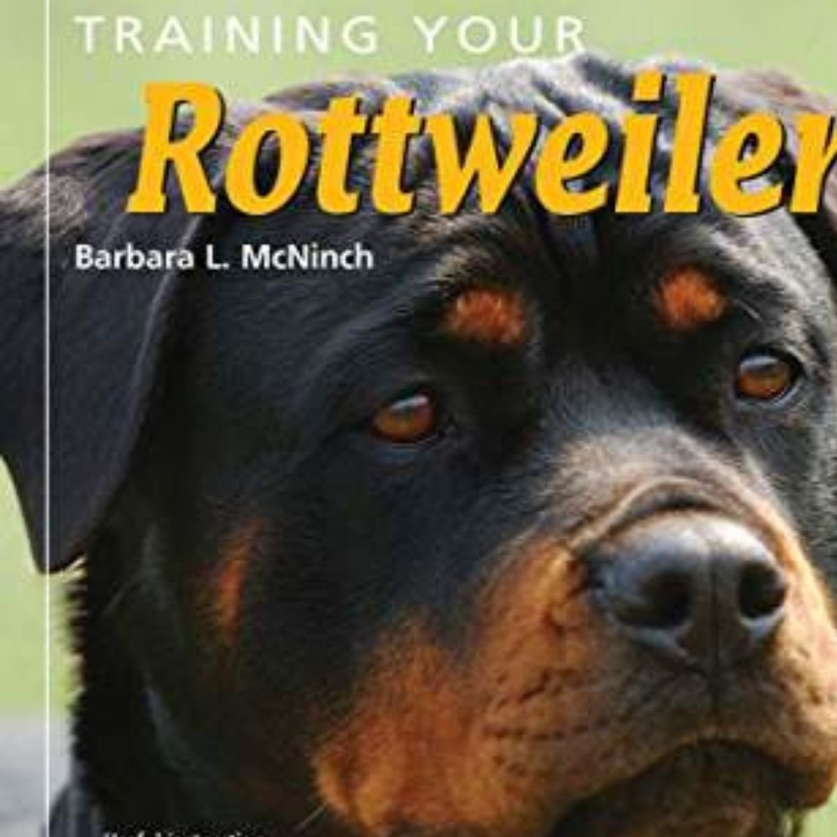 14 Books About Rottweilers That You Must Read - The Paws