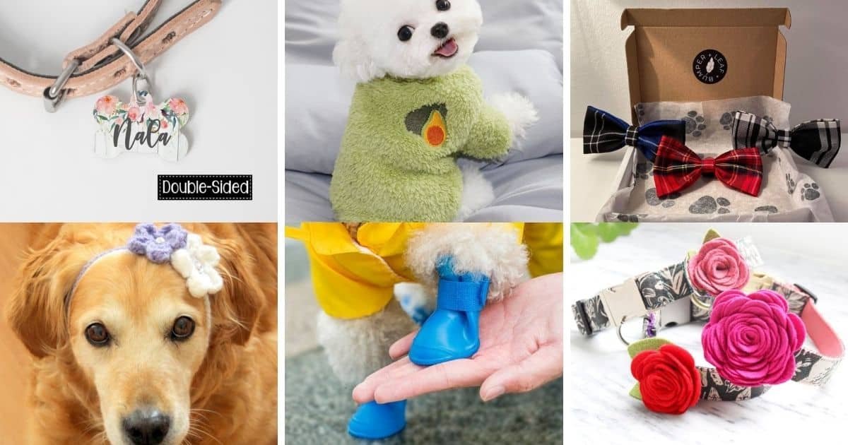 25 Cutest Dog Accessories You Can Get on Etsy - The Paws
