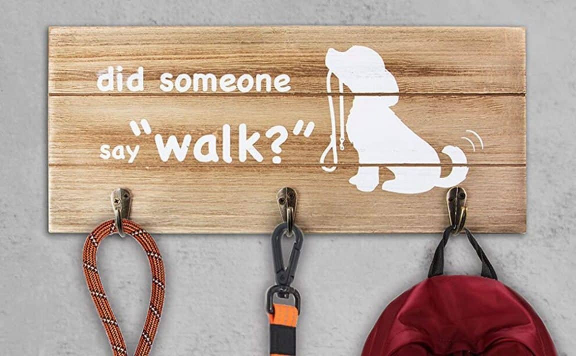 100 Fun Gifts for The Dog Lover in Your Life - The Paws